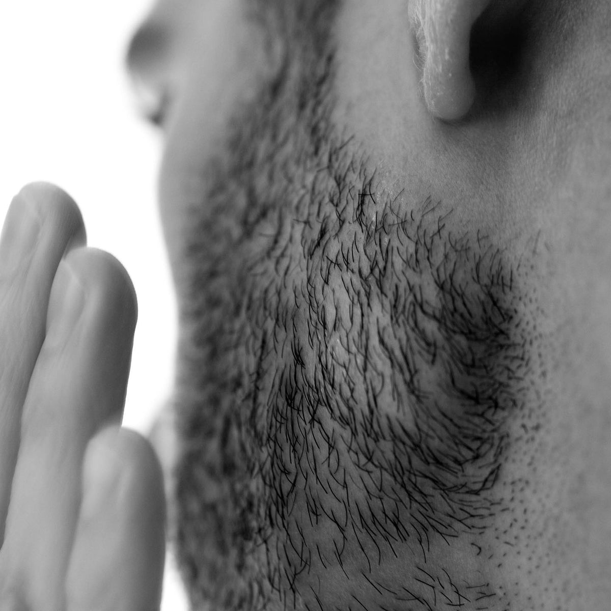 Beard Balms – BLK LAB